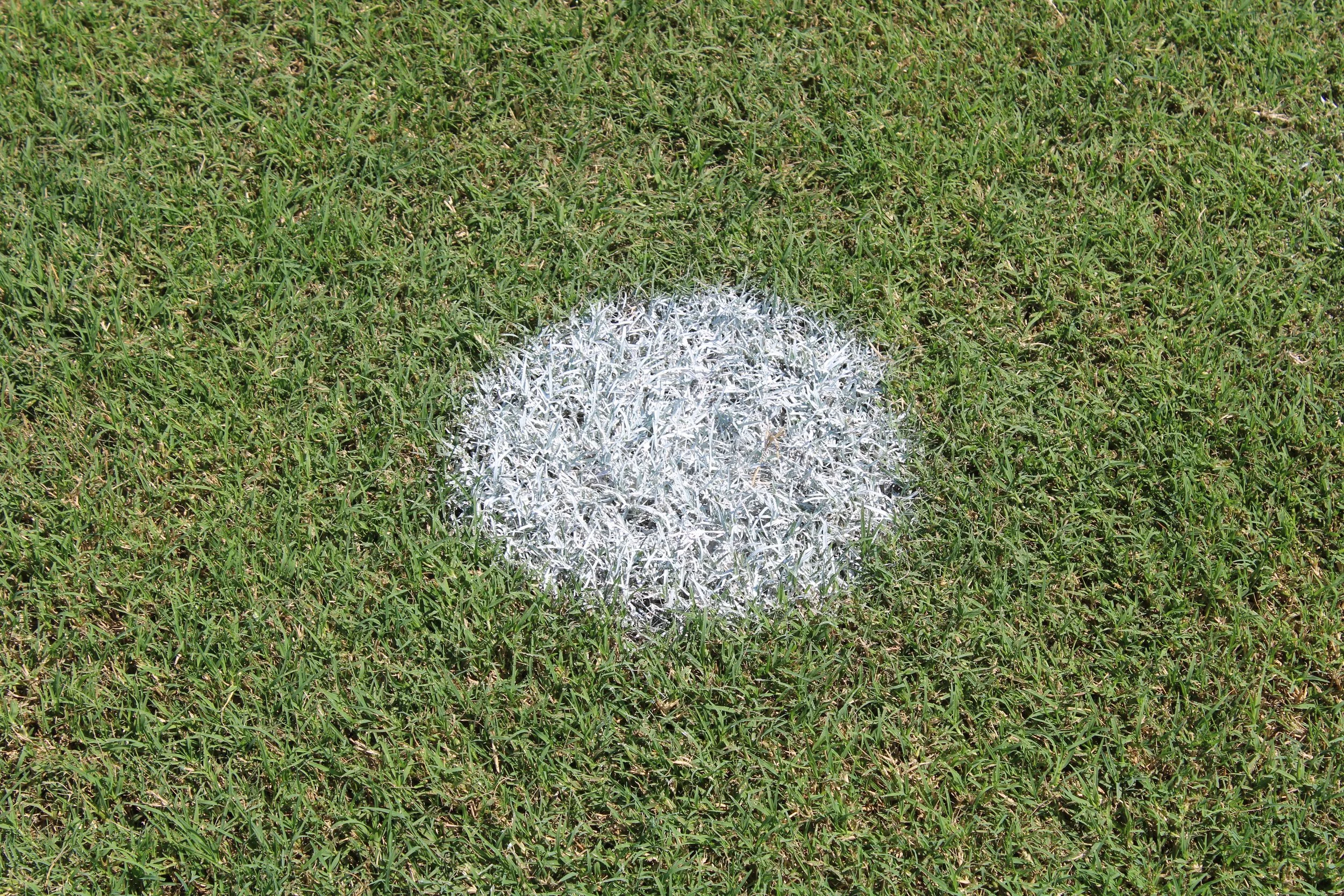 Sports Field Painting & Maintenance