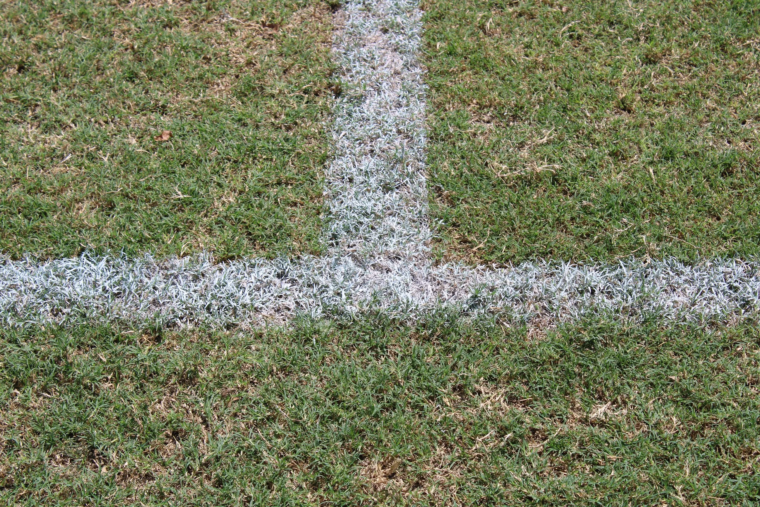 Sports Field Painting & Maintenance