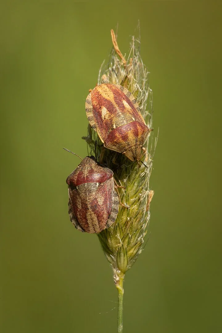 Photography Fine Art Prints — Natural World Photography