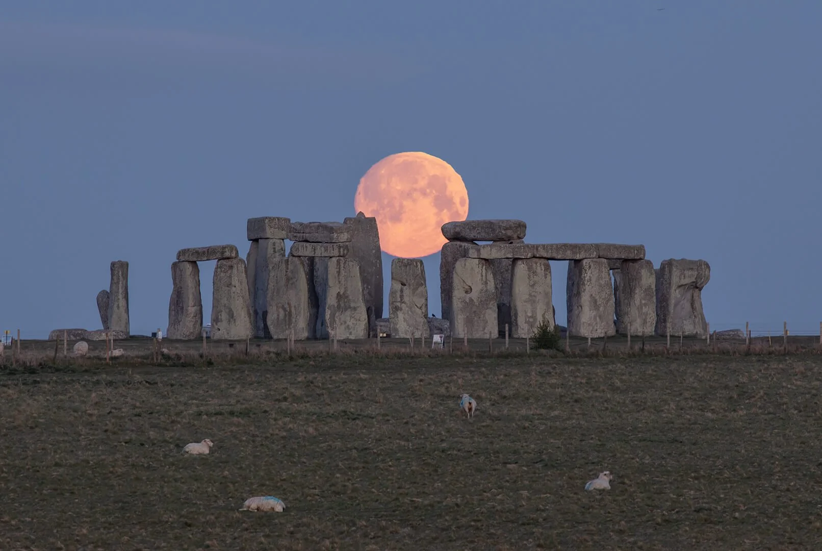 Shooting the Moon — Natural World Photography