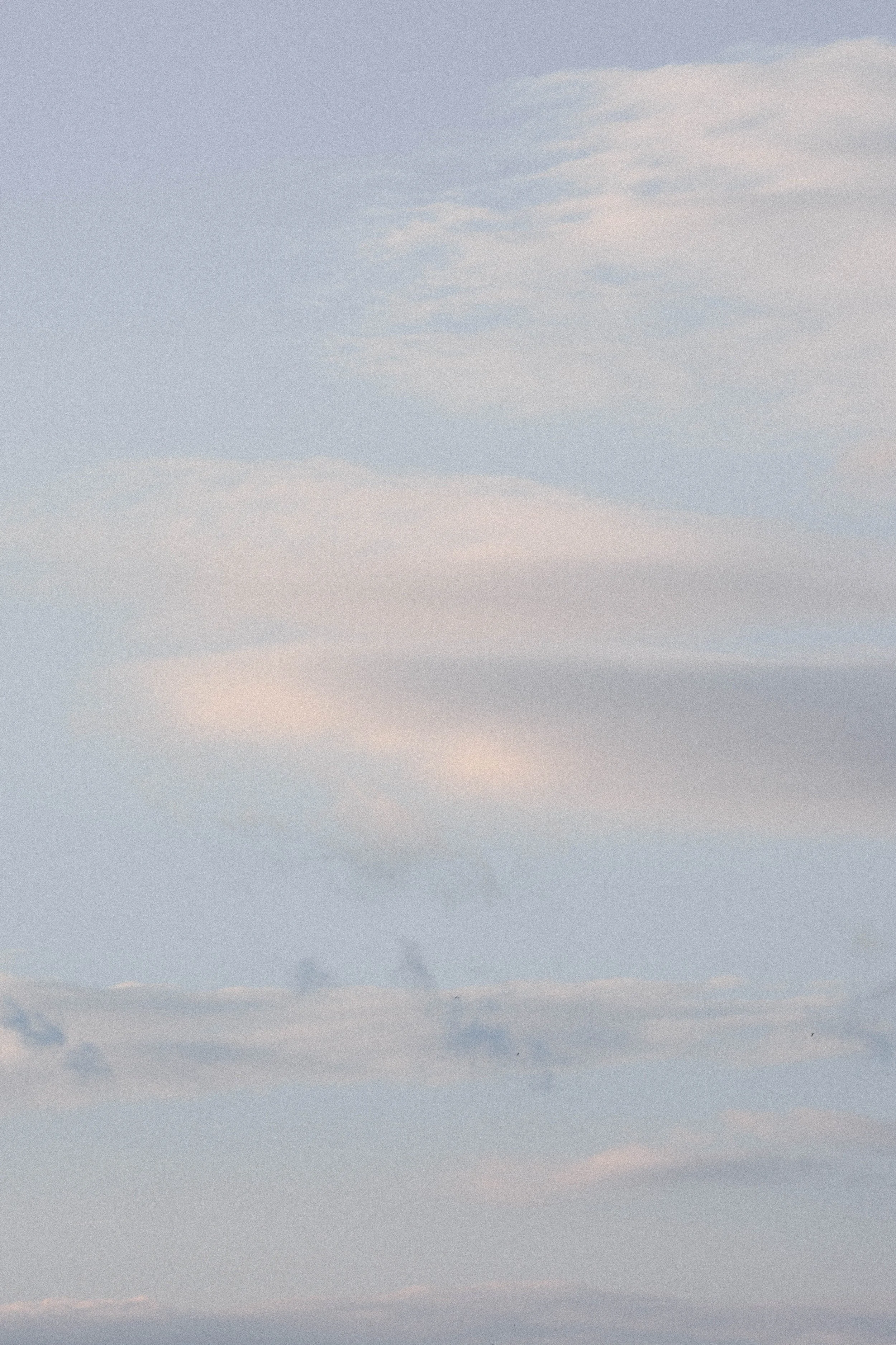 Individual Therapy — The Flourishing Collective