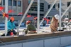 Standard Roofing - Commercial Roofer Headquartered in Oklahoma City ...