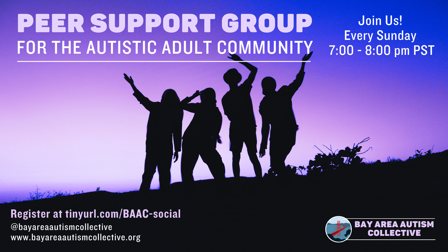 Support Groups — Bay Area Autism Collective