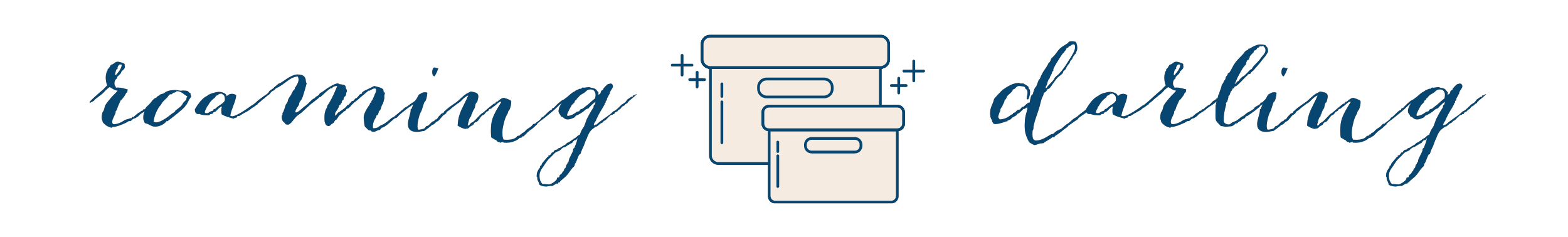 DC Organizers | Professional Organizers DC | Roaming Darling