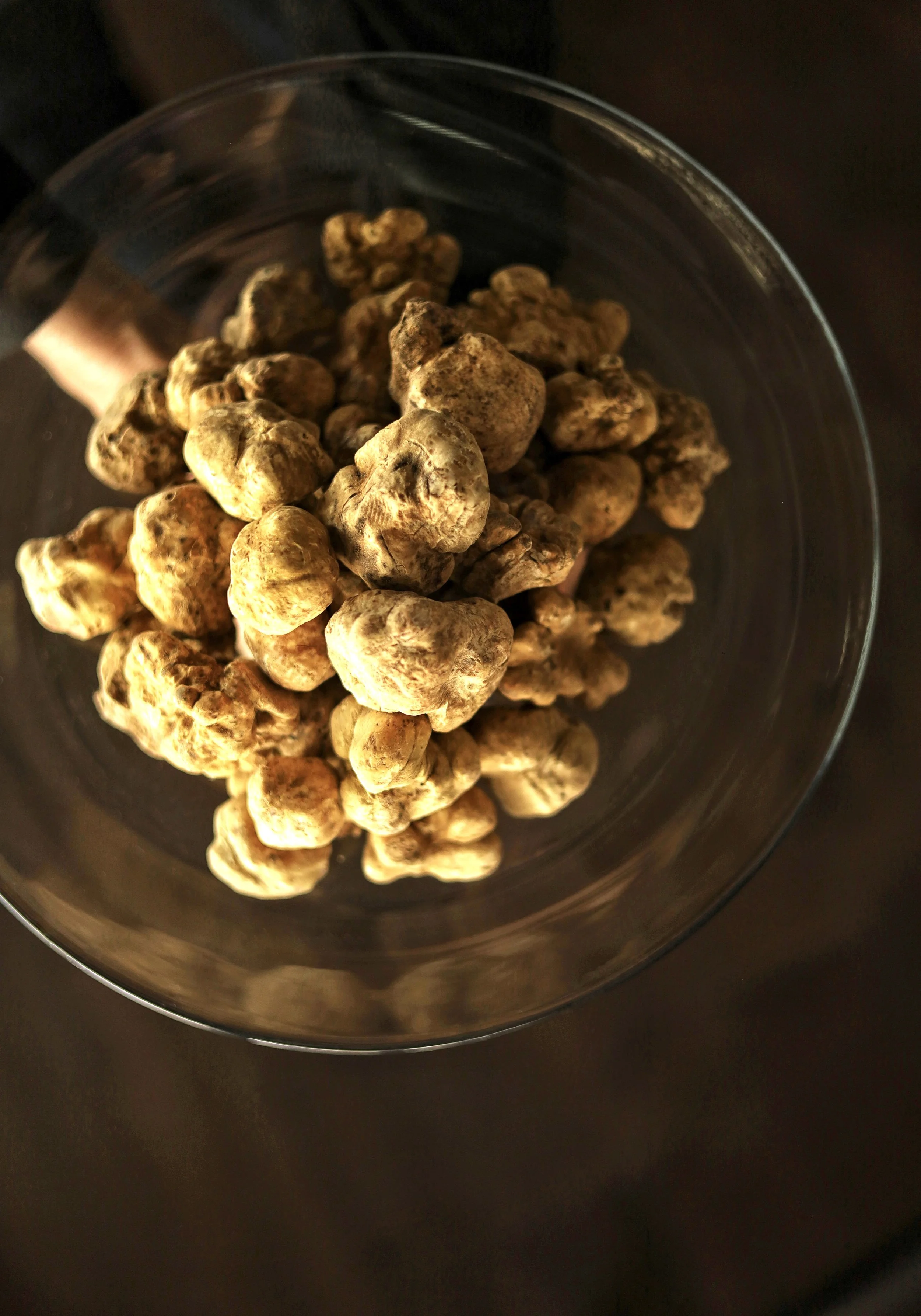 Truffle Dinner 11/18/23 — Restaurant Olivia, Handmade Pasta in Denver ...