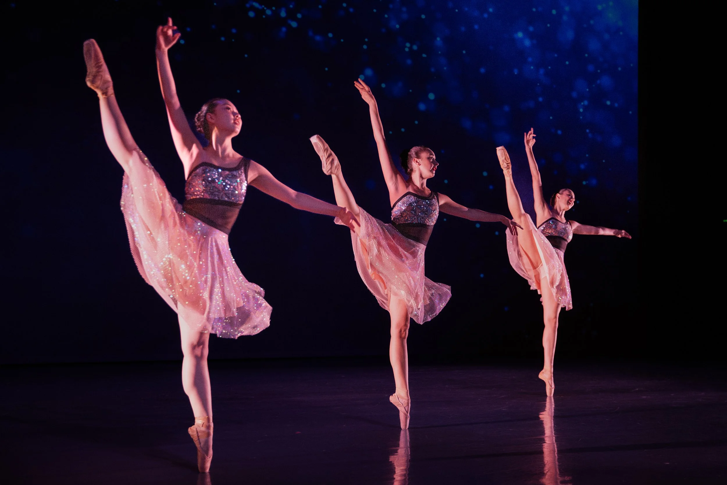 The School of Dance — University of Utah School of Dance