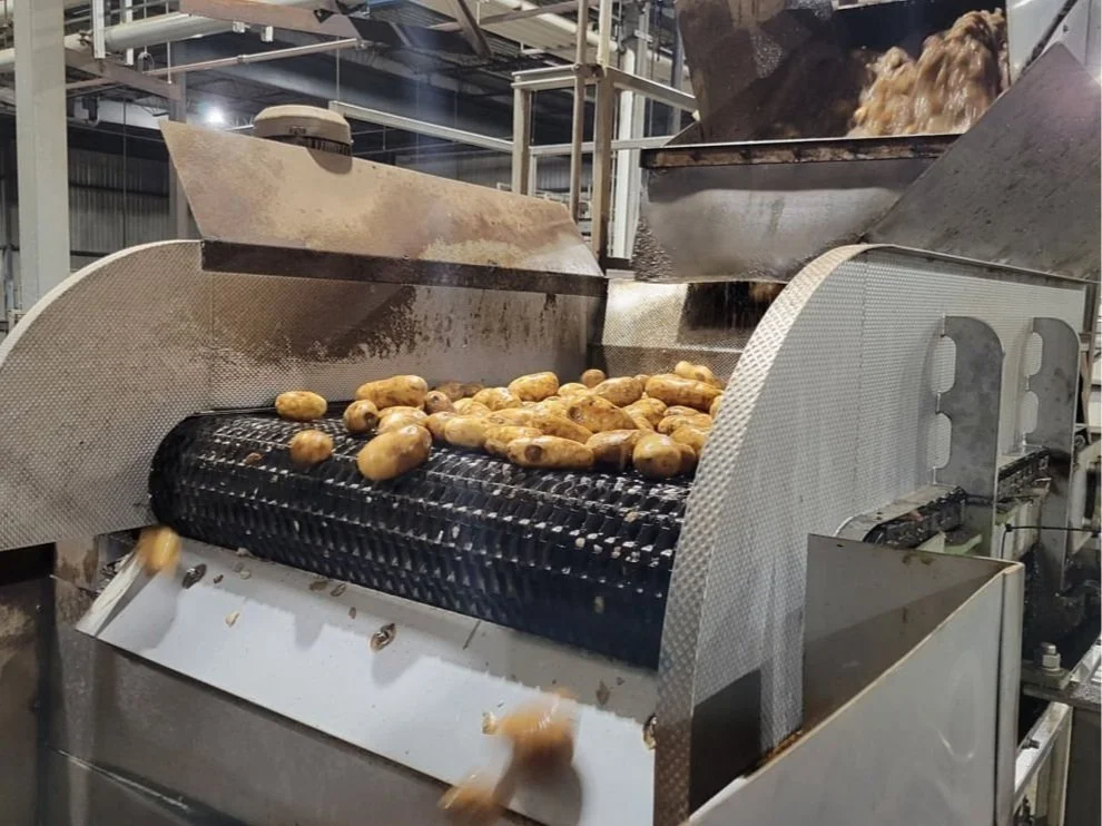 CMP / Intralox Solution Optimizes Raw Potato Delivery to Peeler at ...