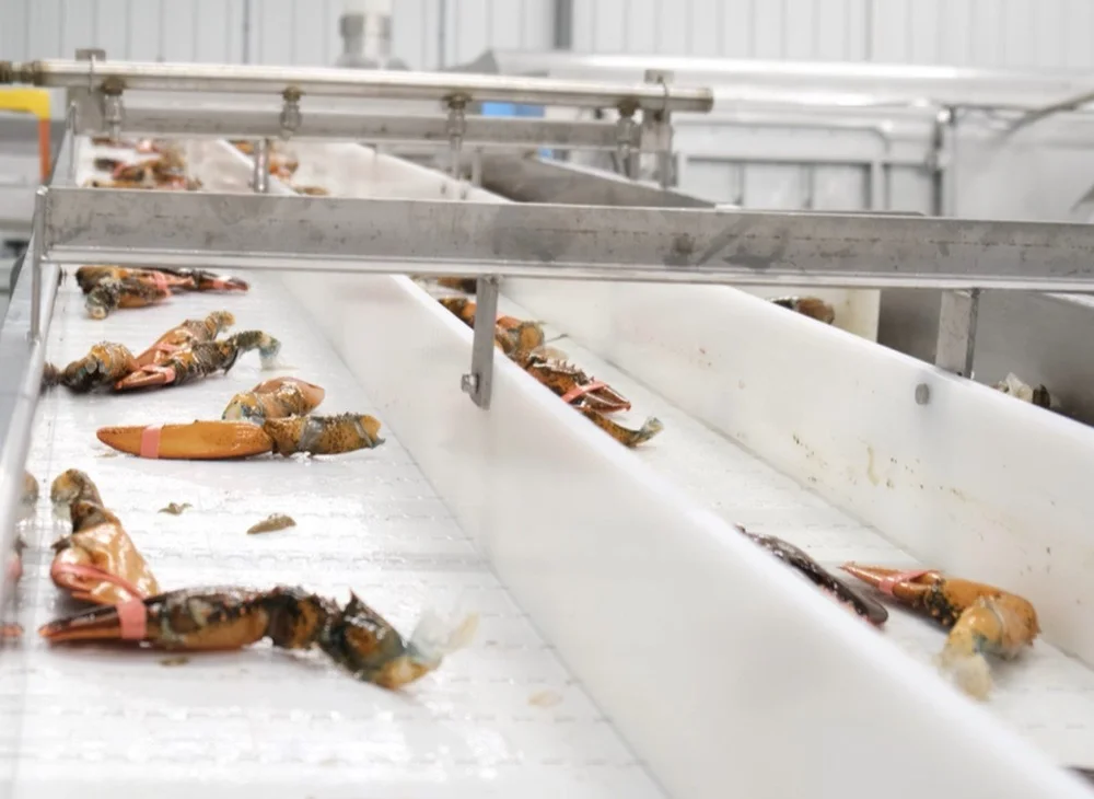 Seafood — CMP Equipment