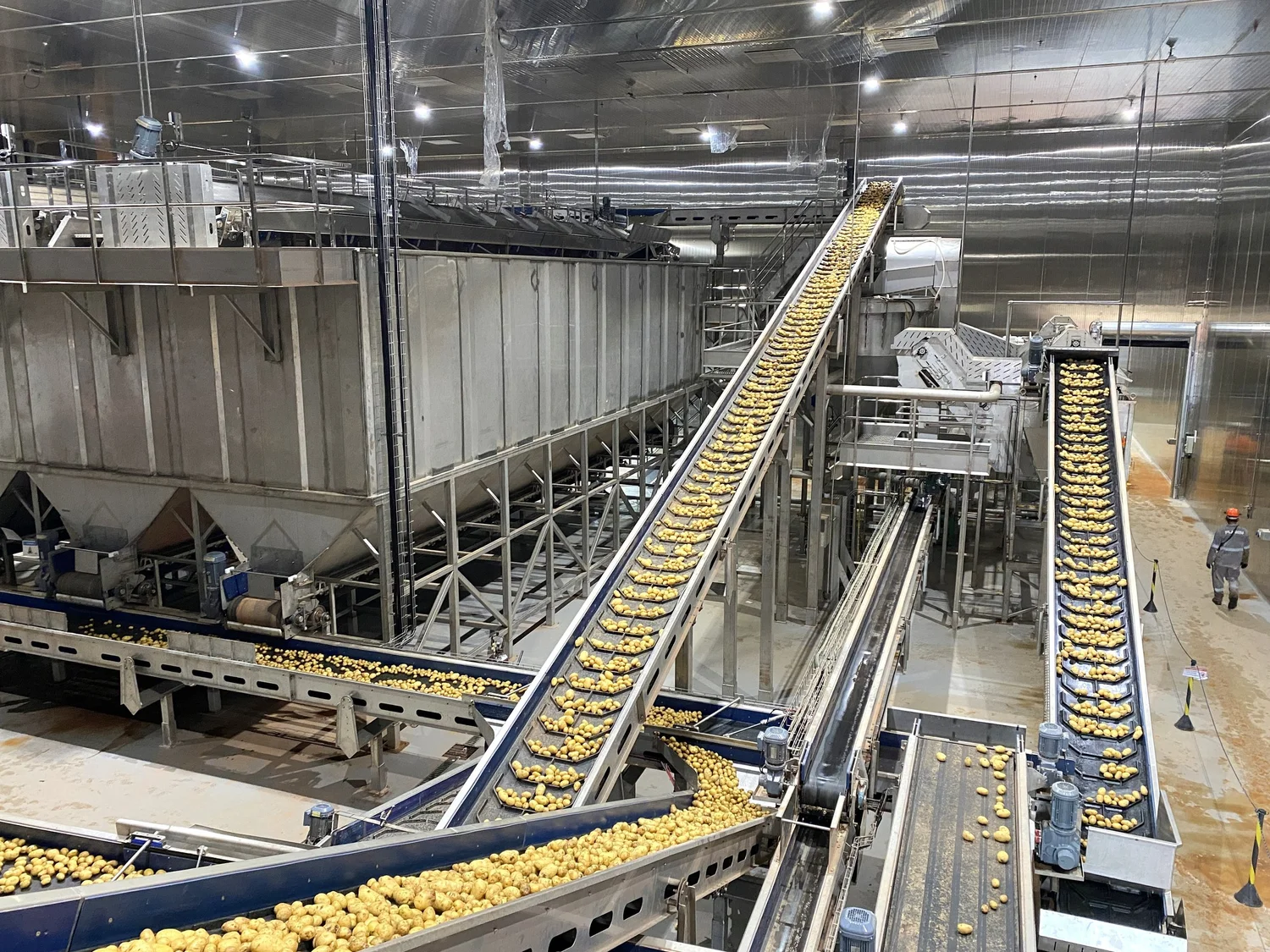 Potato & French Fry — CMP Equipment