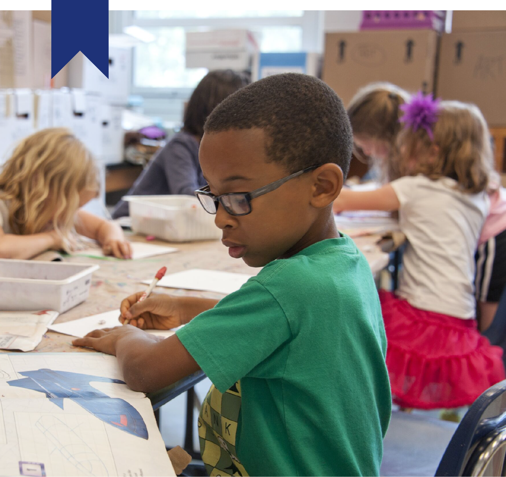 The South Carolina Consortium for Gifted Education