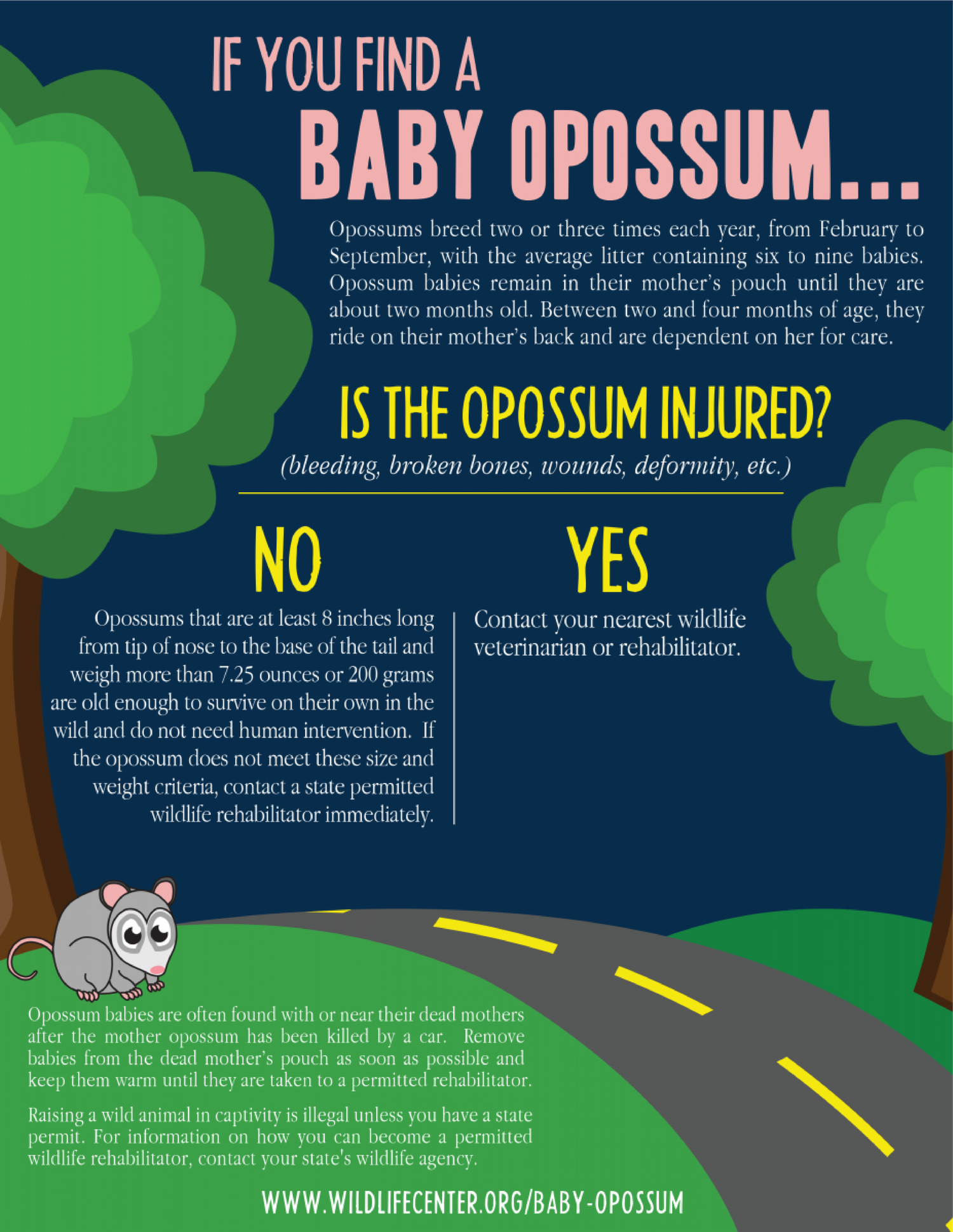 Rescue — POSSUMWOOD ACRES WILDLIFE SANCTUARY