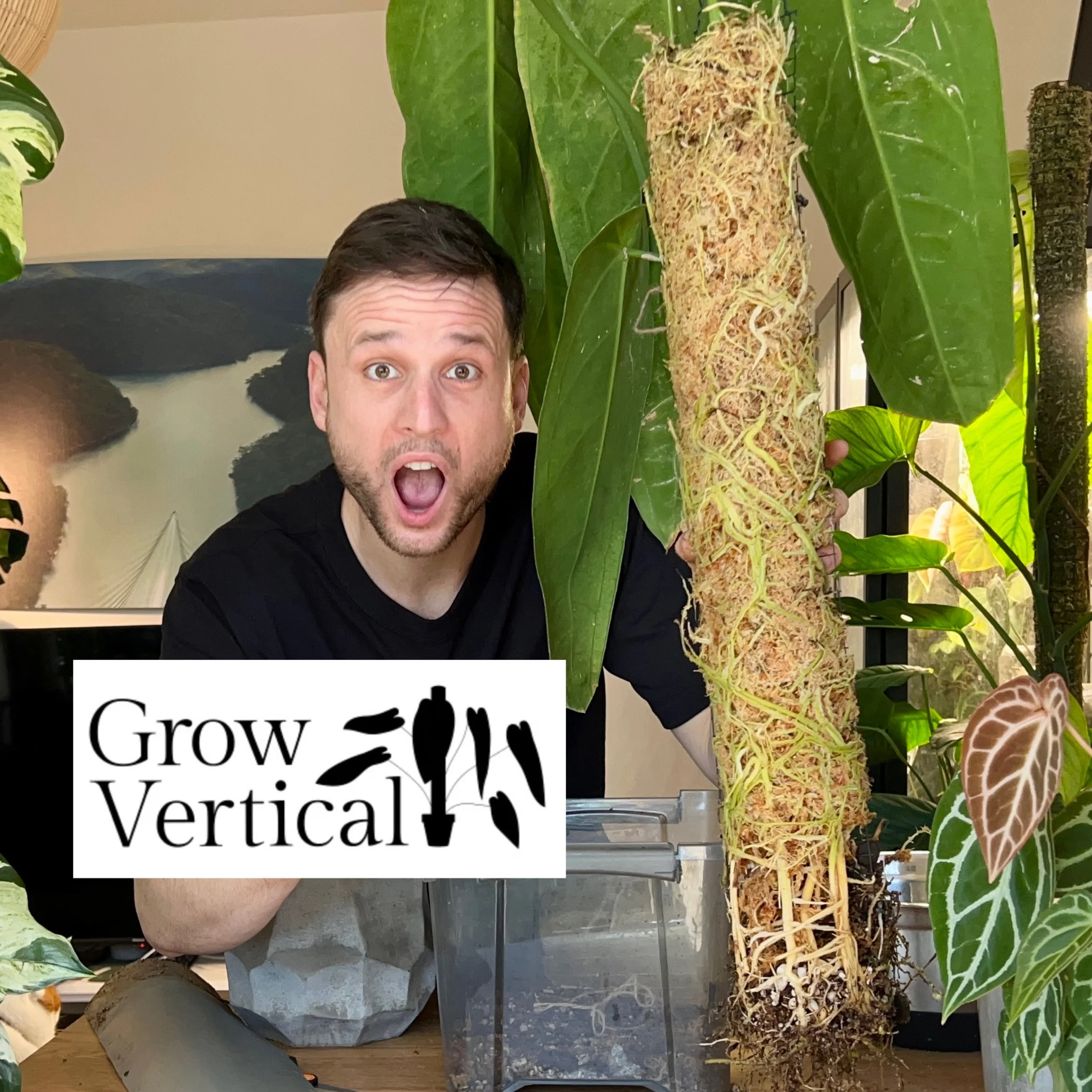 Products & Discount Codes — SydneyPlantGuy