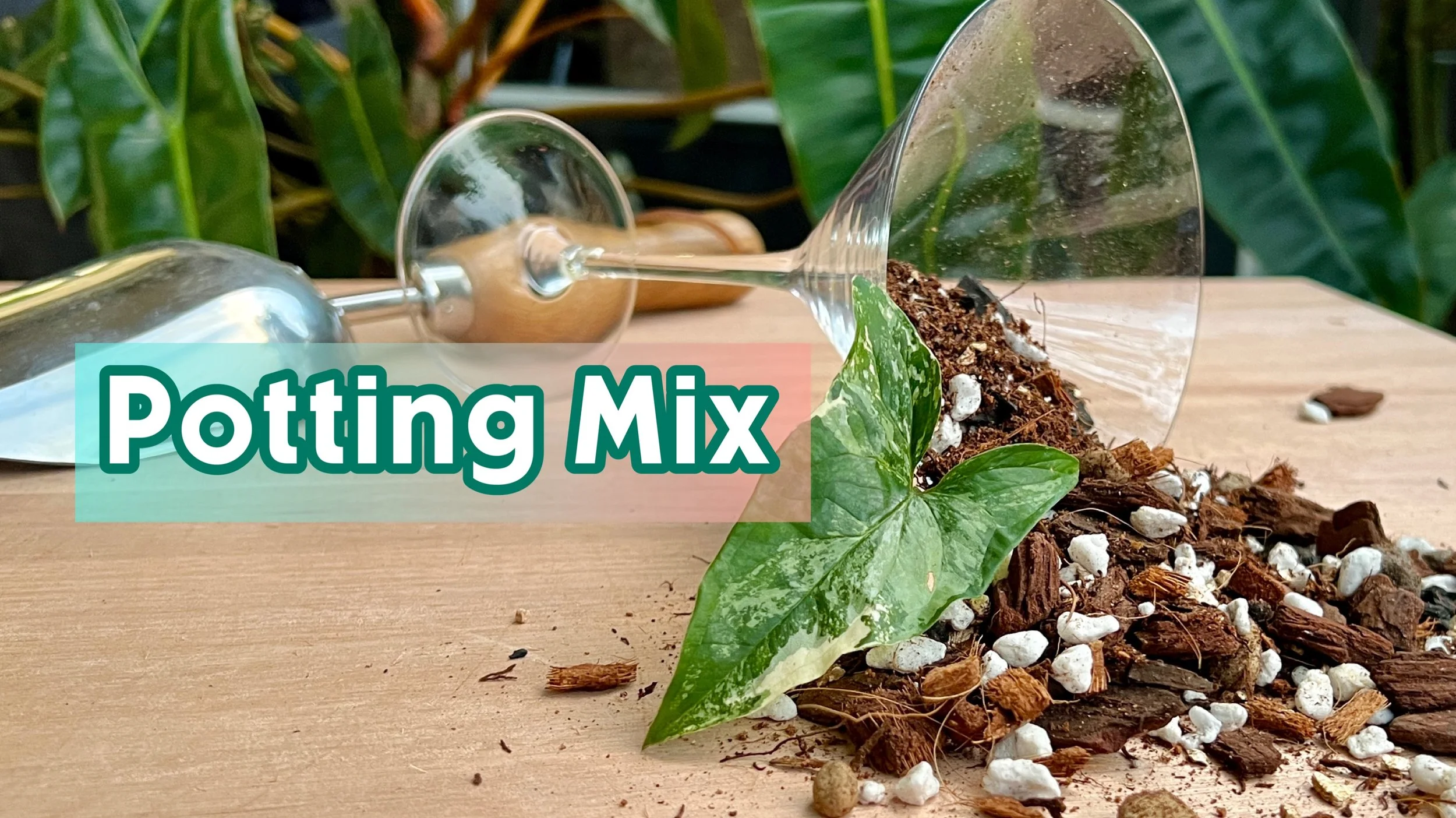 Potting Mix — SydneyPlantGuy