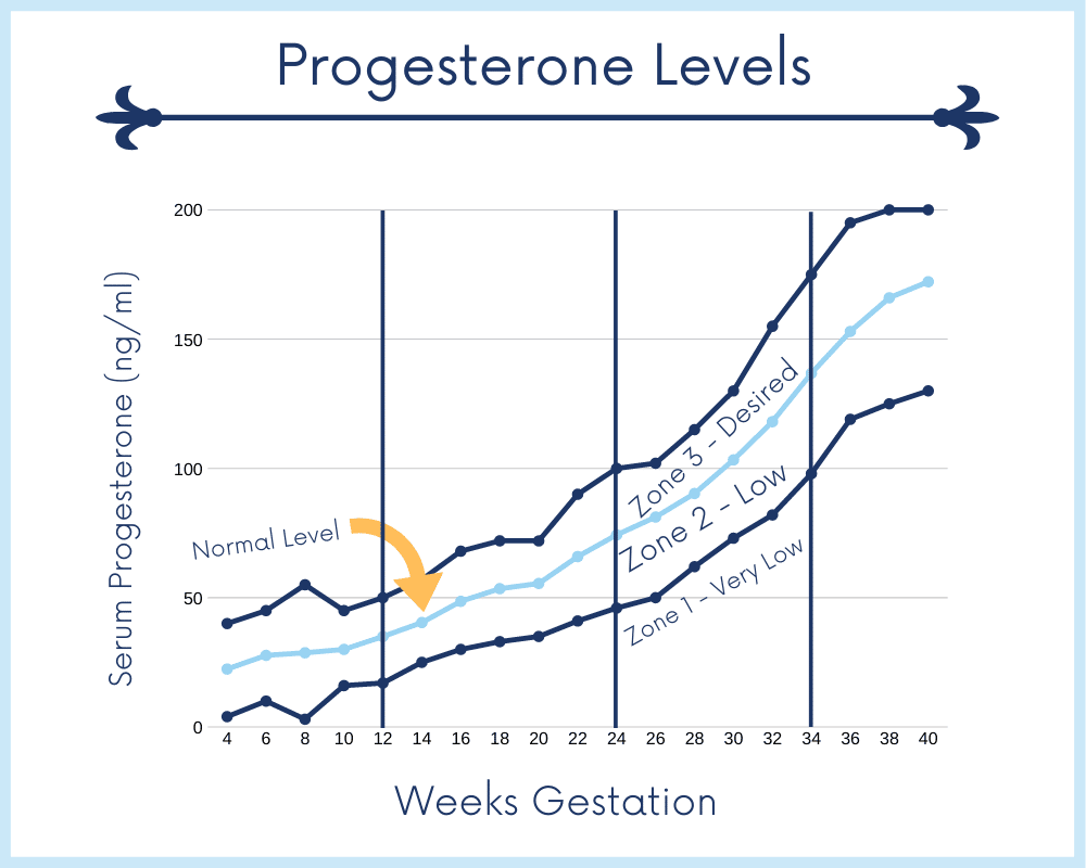 Women's Health — Magnificat Family Medicine