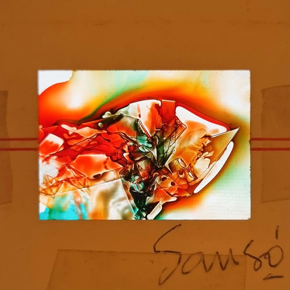 JUVENAL SANSÓ — Fundacion Sansó
