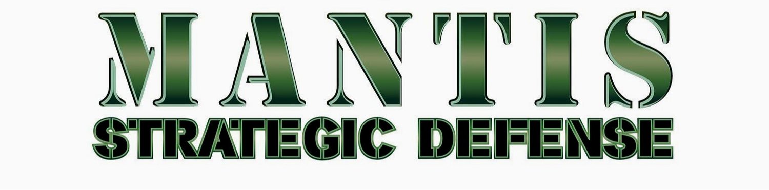Appointments 2 — MANTIS STRATEGIC DEFENSE