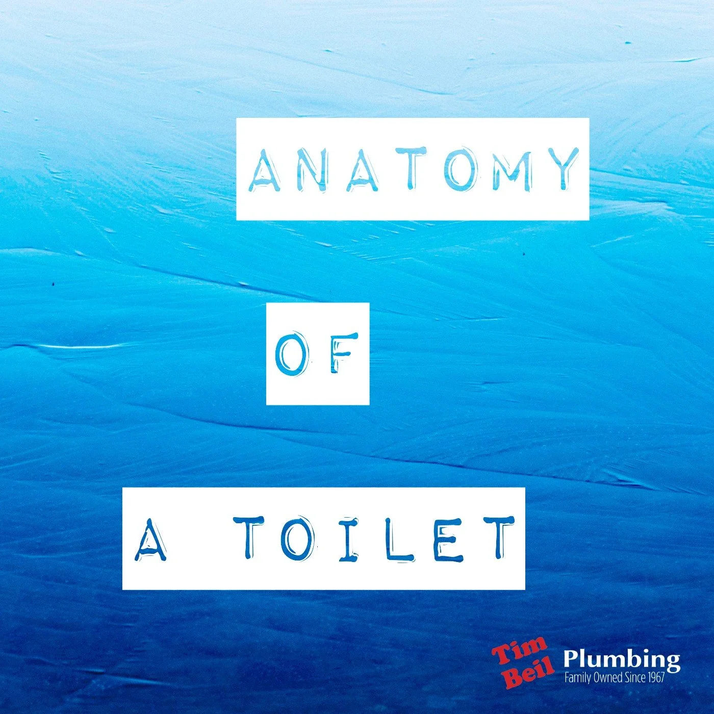 Anatomy of a Toilet - Tim Beil Plumbing