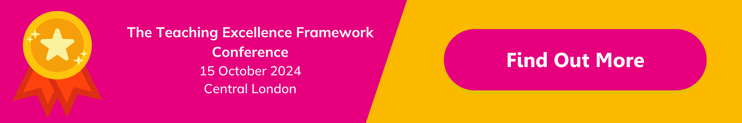 A Guide to the Teaching Excellence Framework — HE Professional