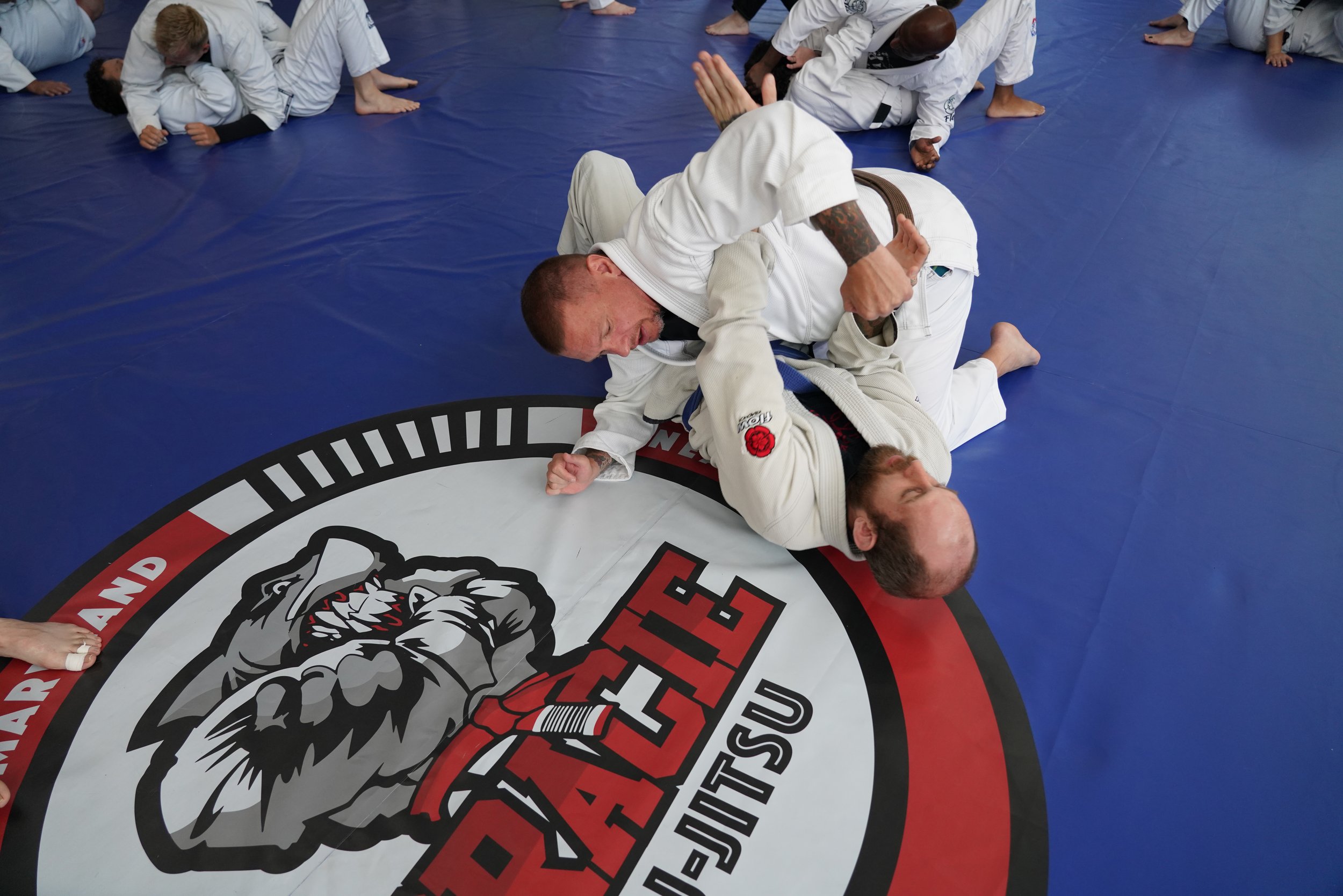 Gracie Jiu-Jitsu vs. Brazilian Jiu-Jitsu: Understanding the Differences ...