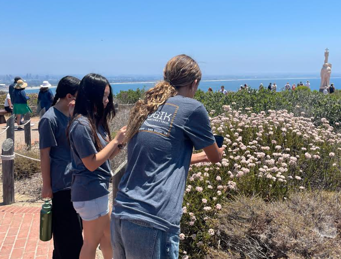 THE ECOLOGIK INSTITUTE — Plant Pals - A Native Plant Scavenger Hunt
