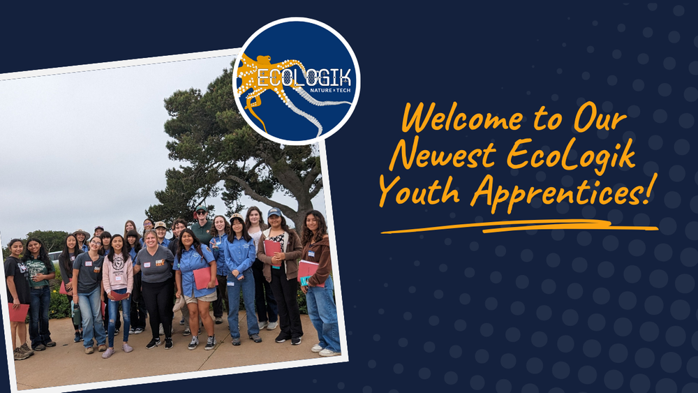 THE ECOLOGIK INSTITUTE — Welcome to Our Newest EcoLogik Apprentices!