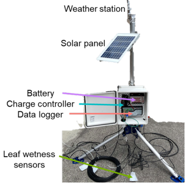 THE ECOLOGIK INSTITUTE — Unraveling Fog at Cabrillo