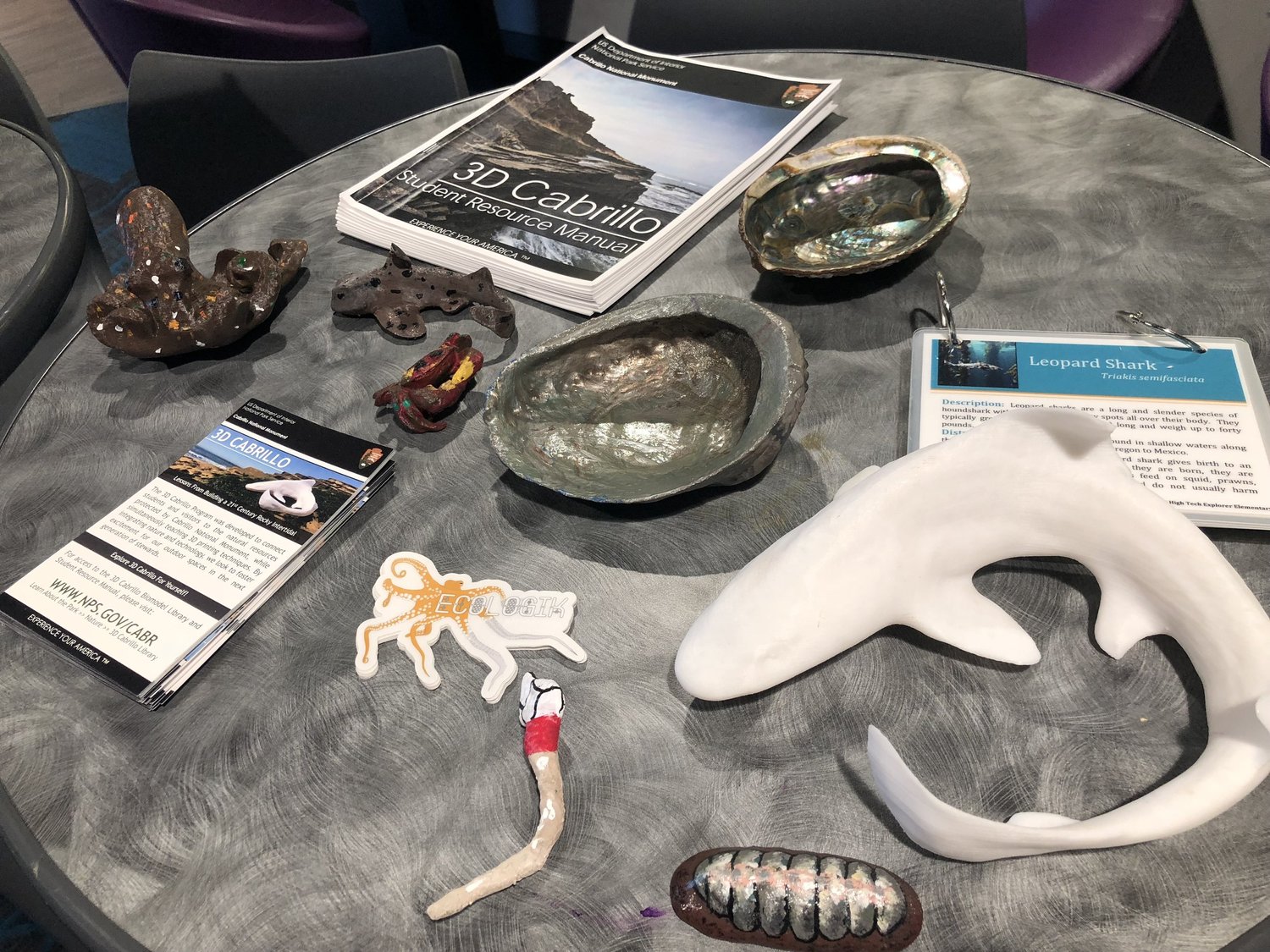 THE ECOLOGIK INSTITUTE — WORKSHOPS