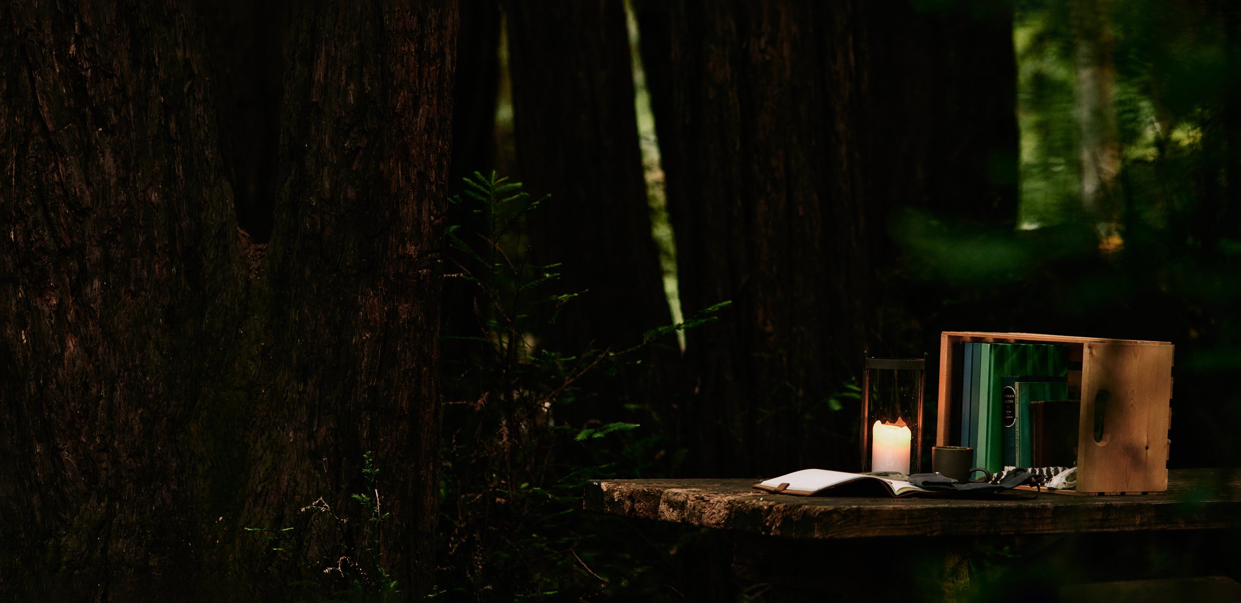 Details — Writing the Wild