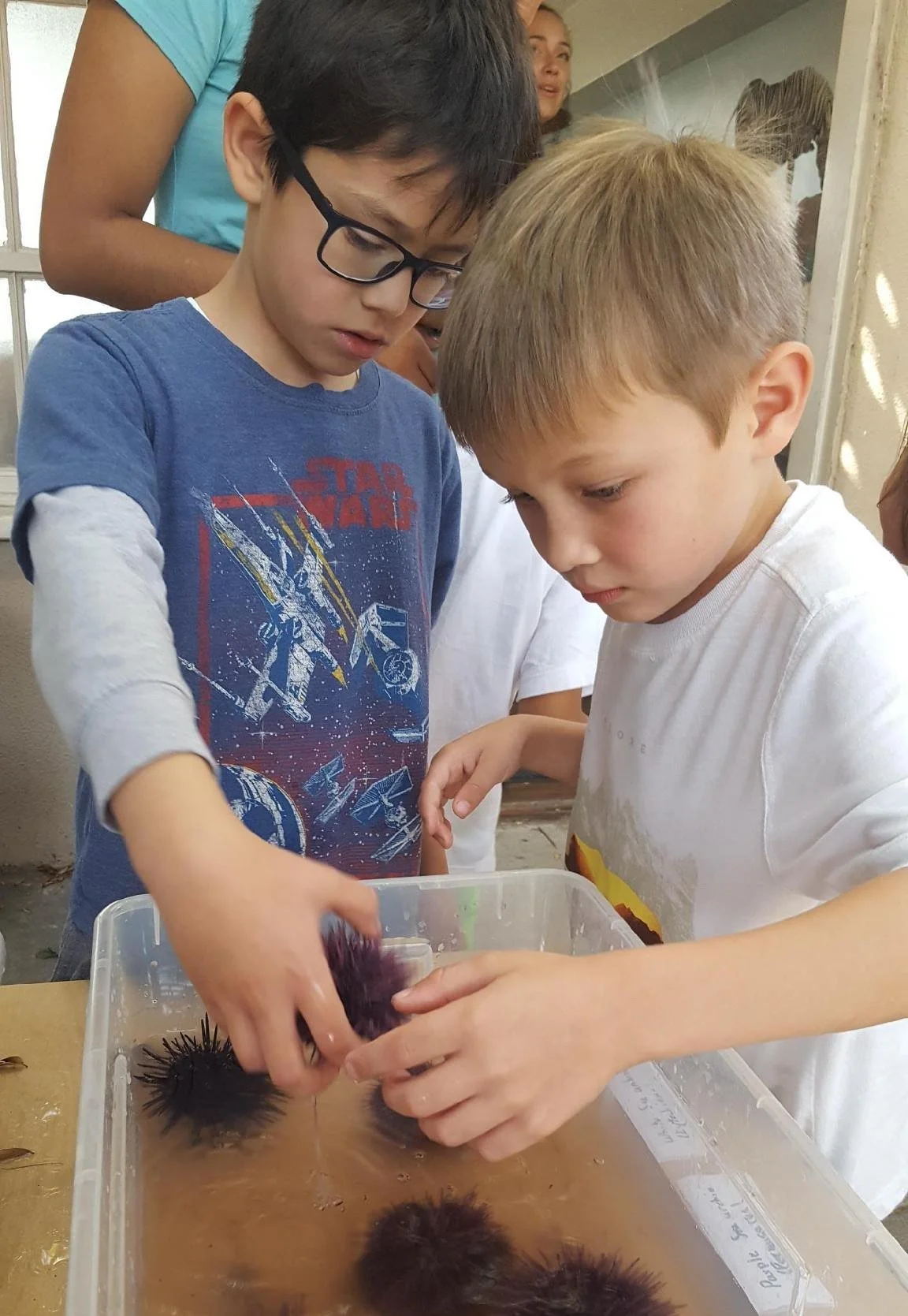 Summer School — Oasis Trilingual Community School