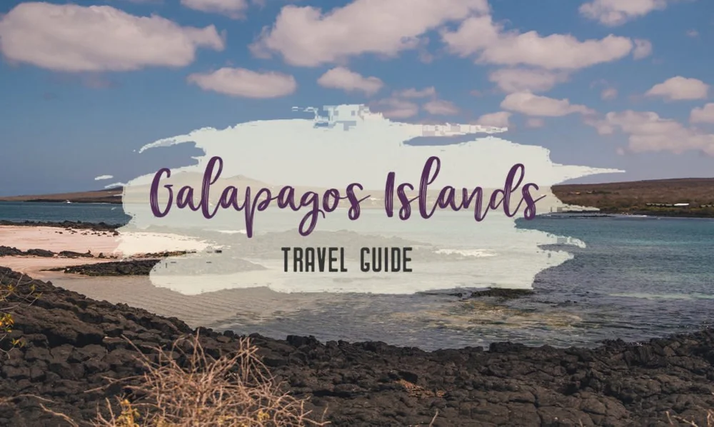 Galapagos Islands travel tips: Everything you need to know | My ...