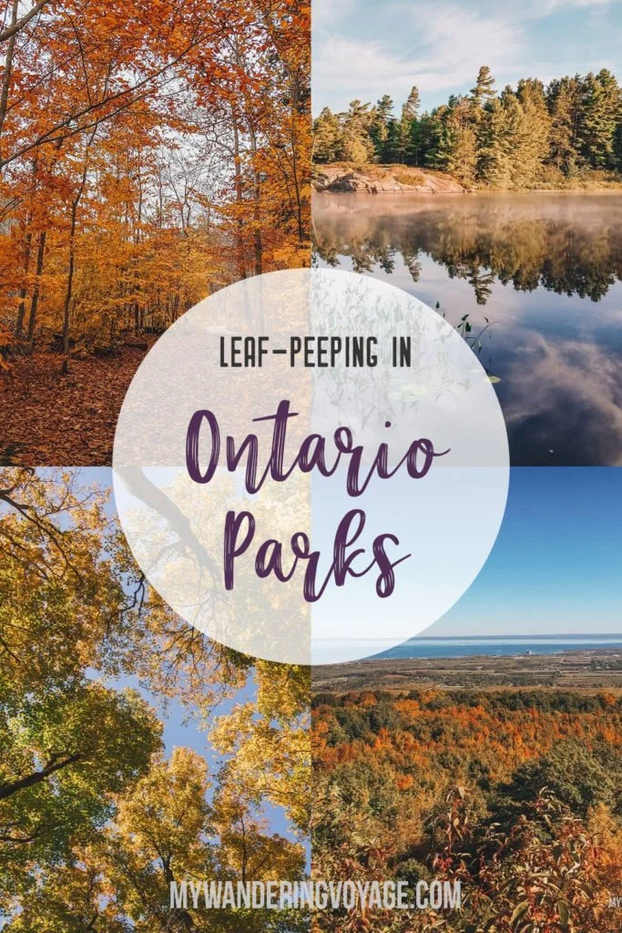Best Ontario Provincial Parks to visit in fall | My Wandering Voyage