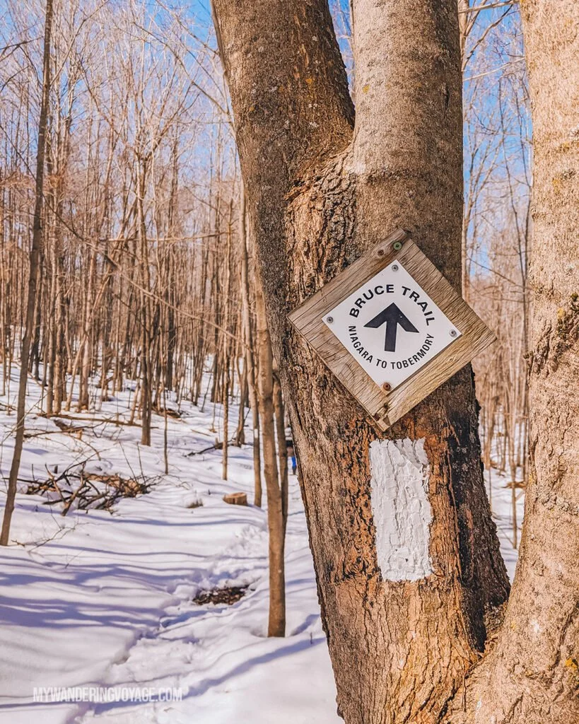 Hiking the Bruce Trail: 14 incredible side trails to explore | My ...