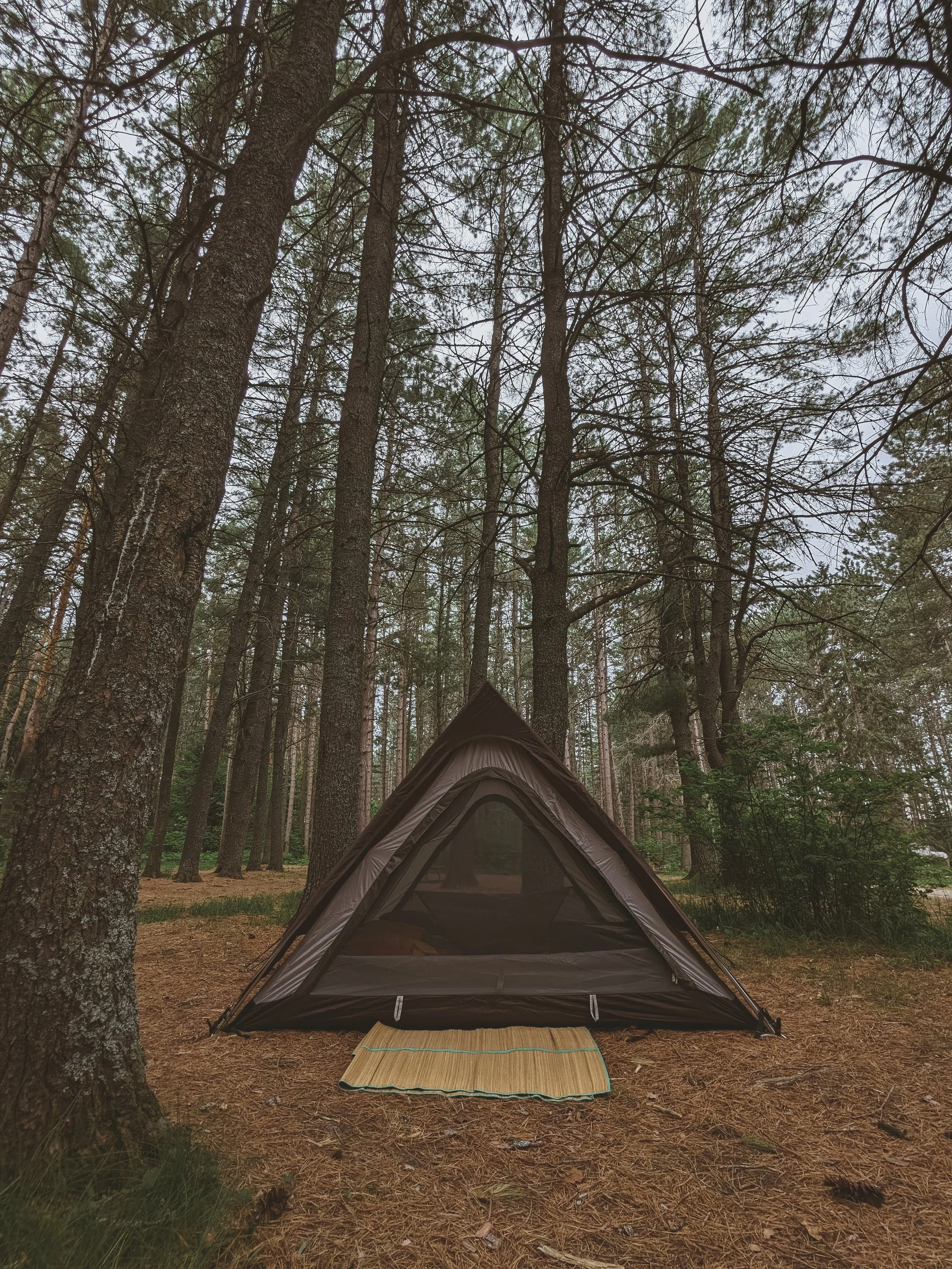 The ultimate guide to the best Ontario Parks to visit | My Wandering Voyage