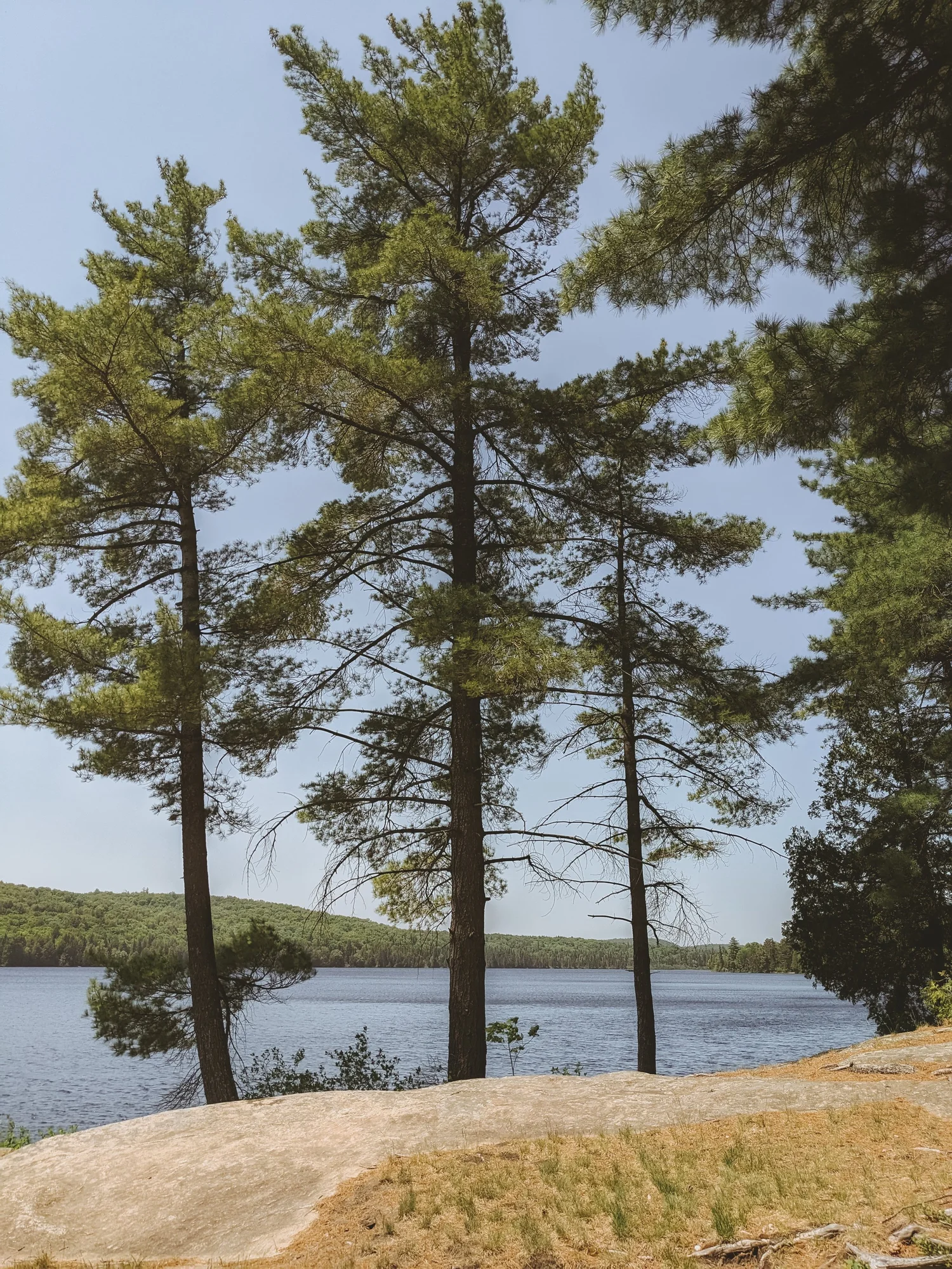 The ultimate guide to the best Ontario Parks to visit | My Wandering Voyage