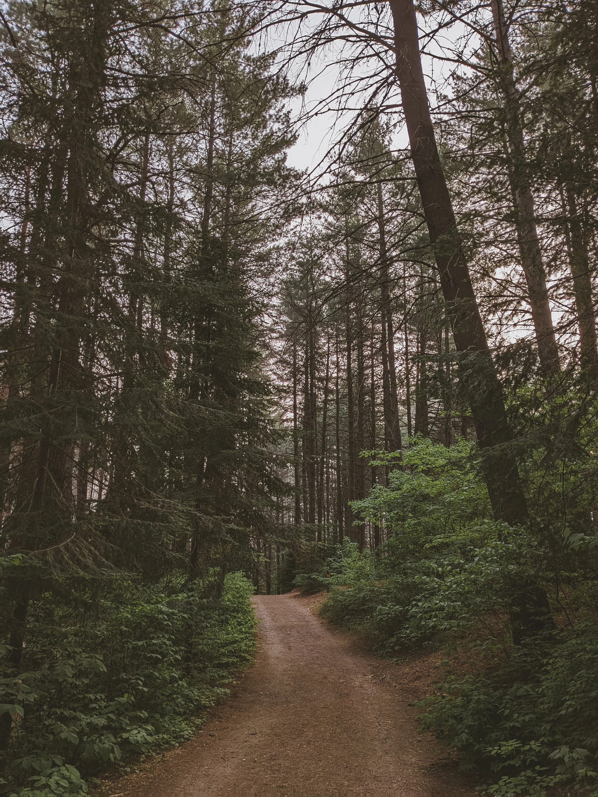 The ultimate guide to the best Ontario Parks to visit | My Wandering Voyage