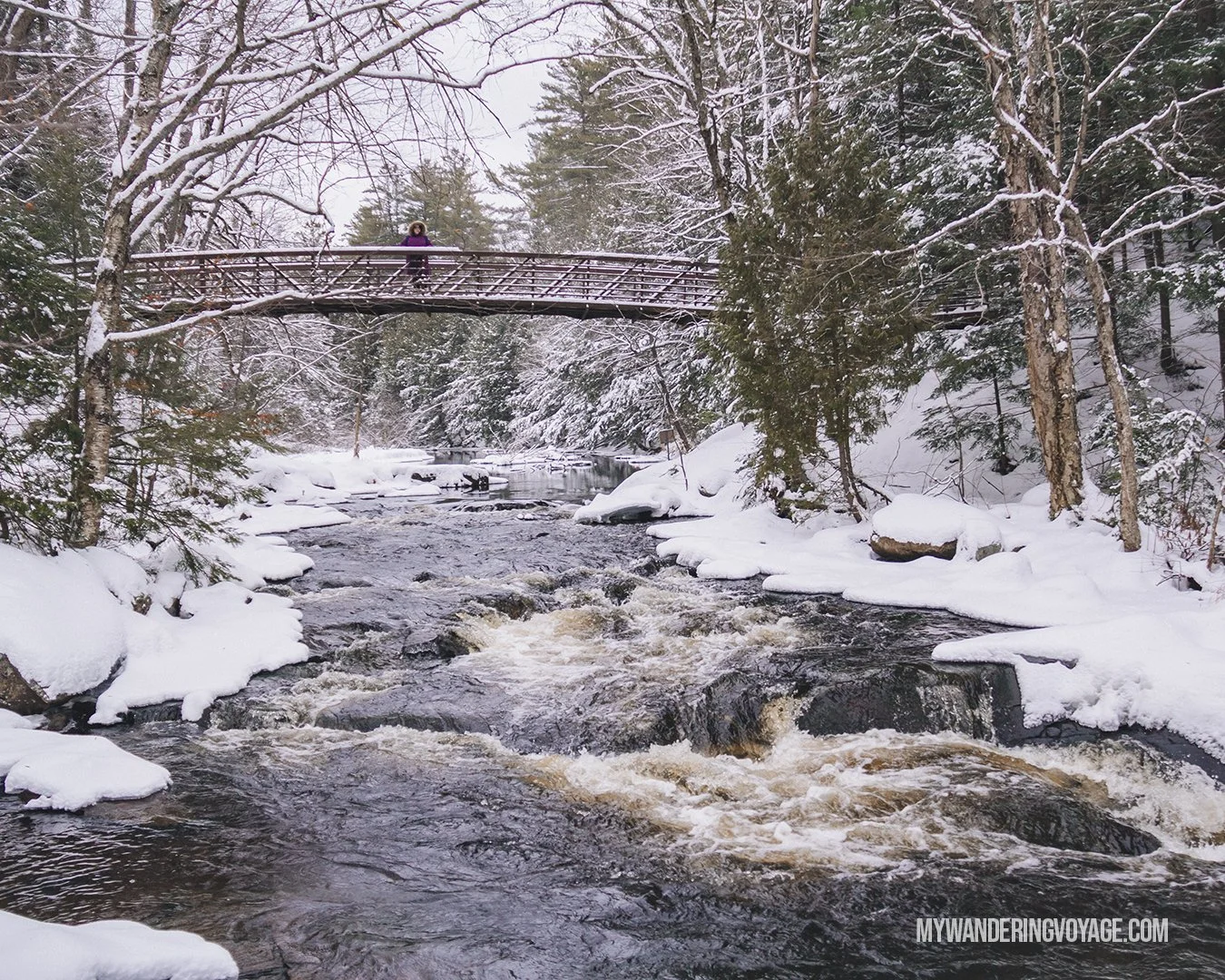 The ultimate guide to the best Ontario Parks to visit | My Wandering Voyage