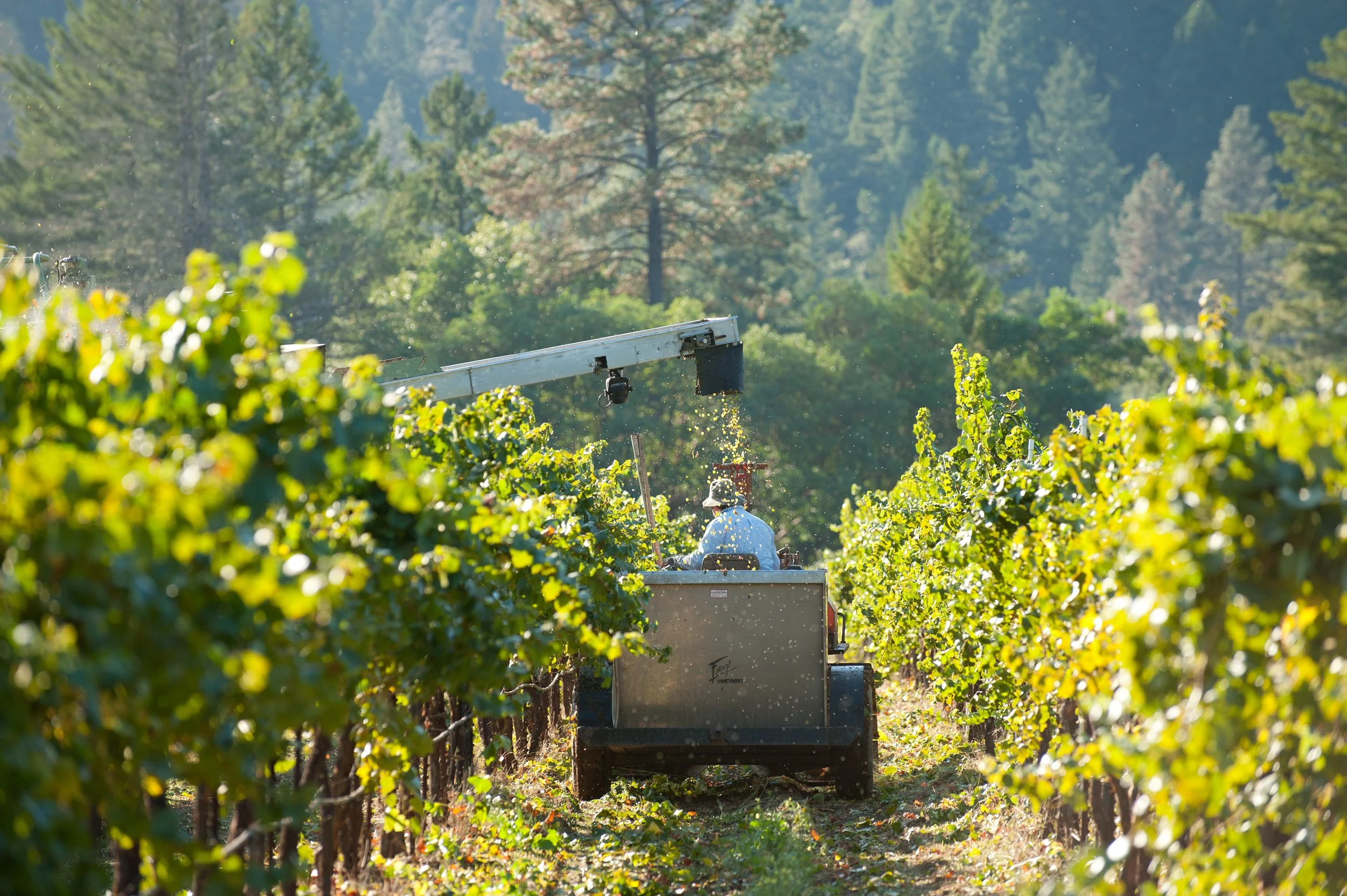 Frey Vineyards