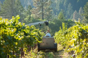 Frey Vineyards