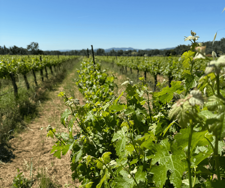 Product — Frey Vineyards