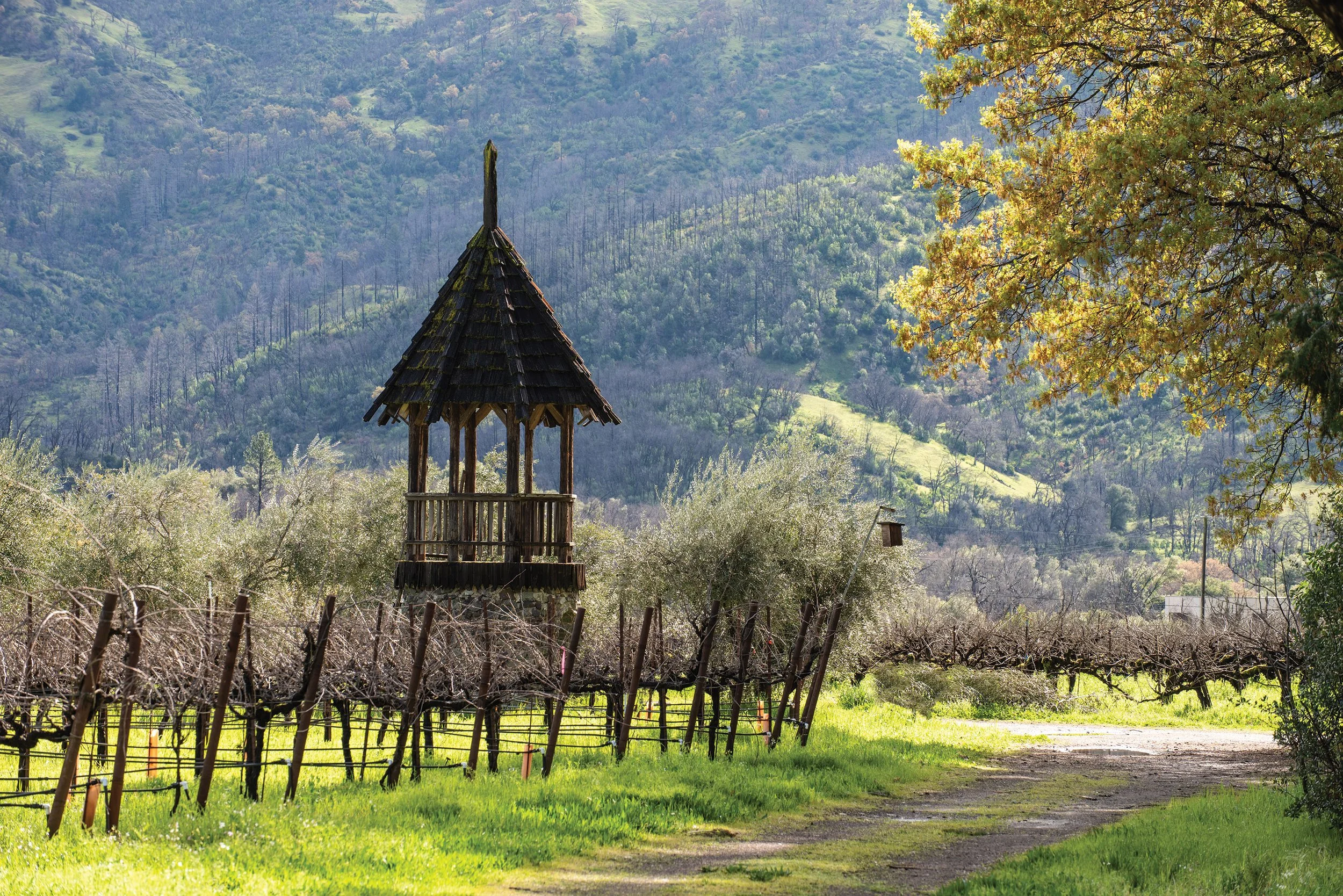 Frey Vineyards