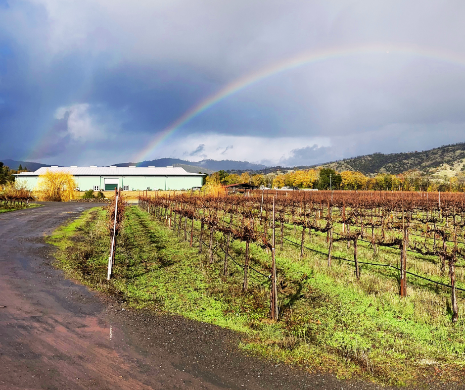 Visit Frey — Frey Vineyards