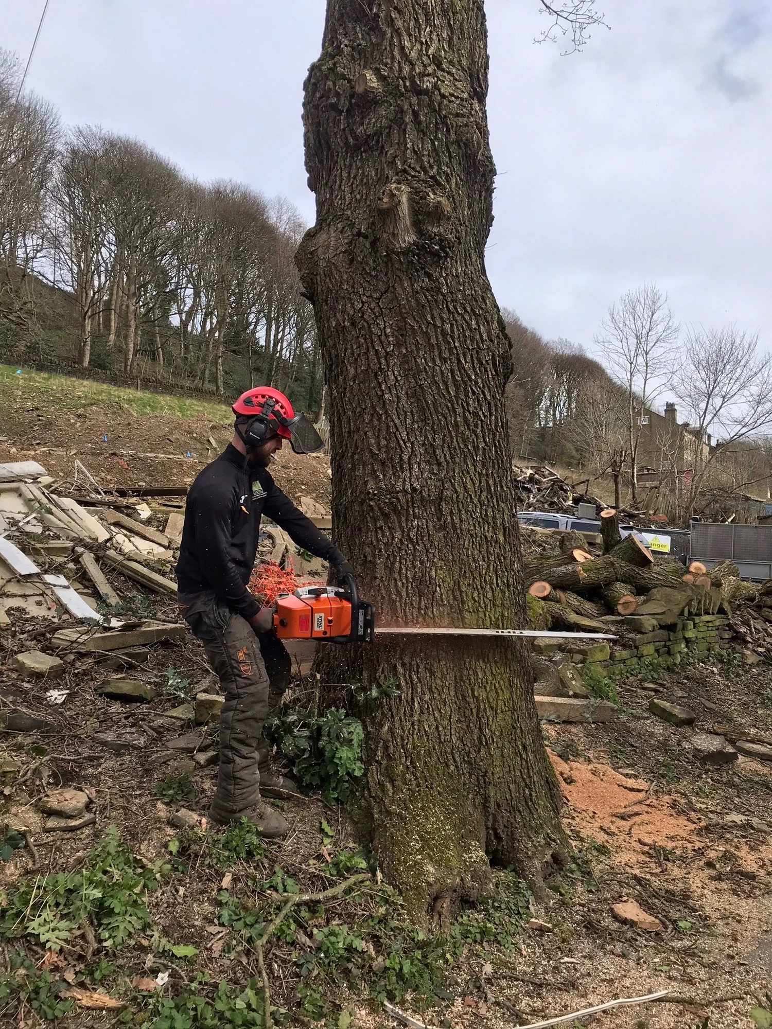 White Rose Tree Care