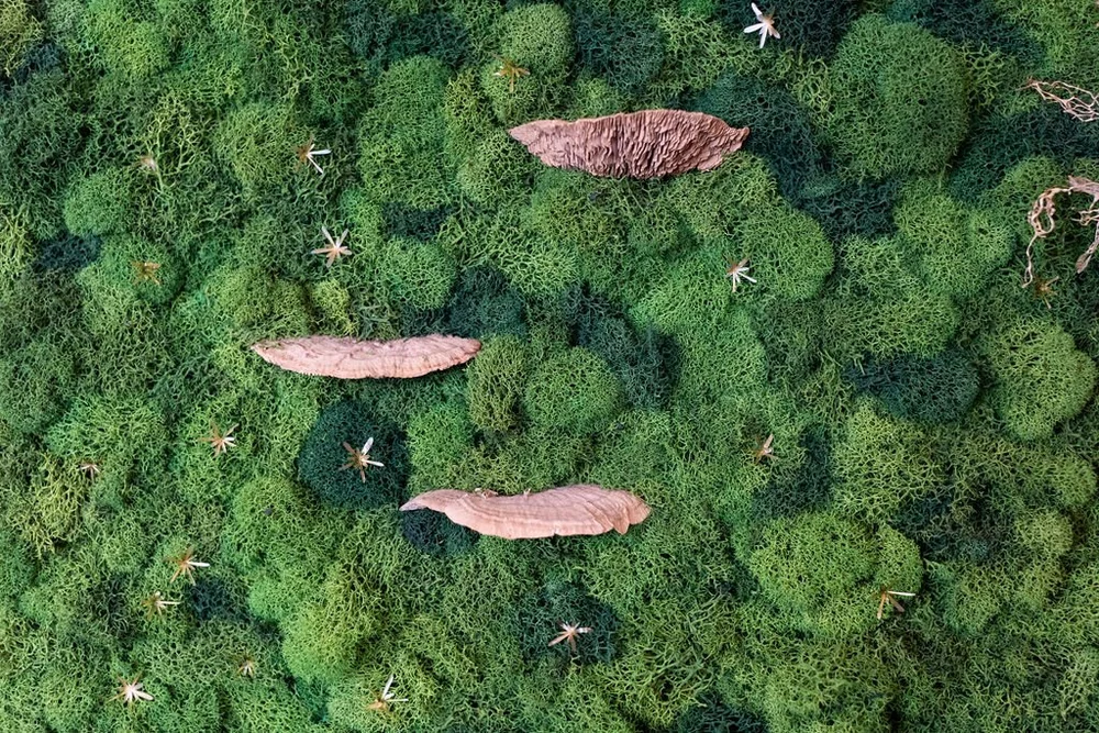 CEC's Environmental Hub