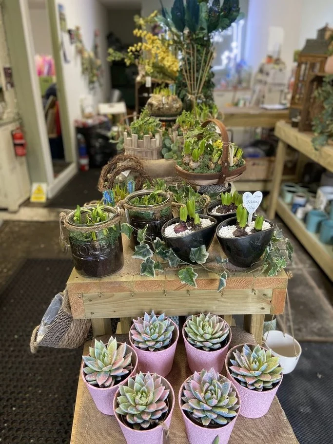 Jackson Flower Company