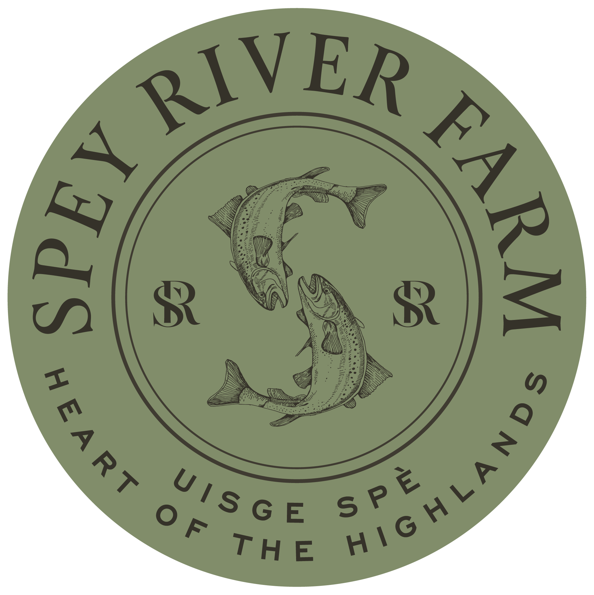 Rowan Berries: Nutritional Powerhouses, Traditional Remedies, and ...