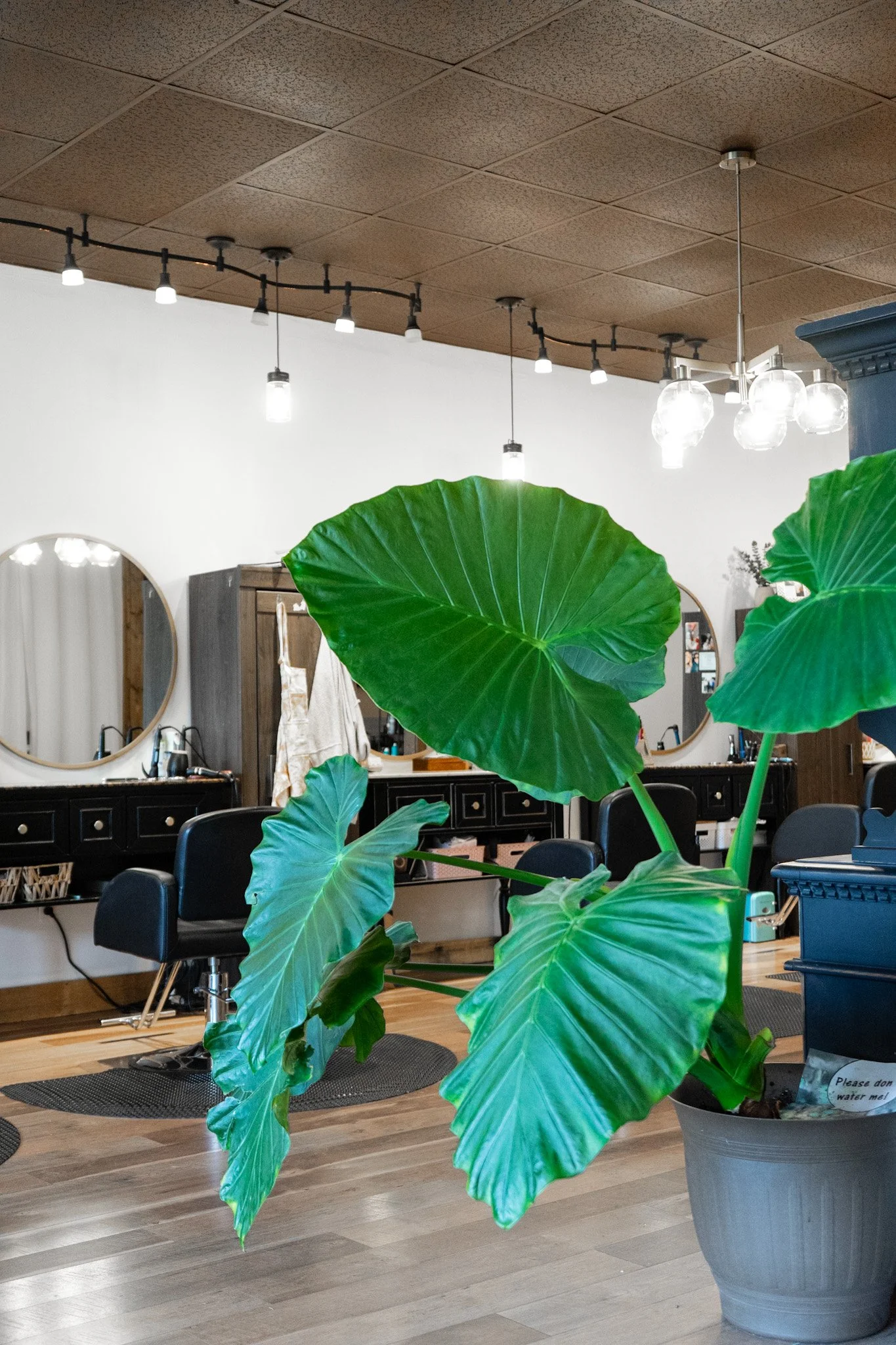 Our Services — Trust & Mane Salon