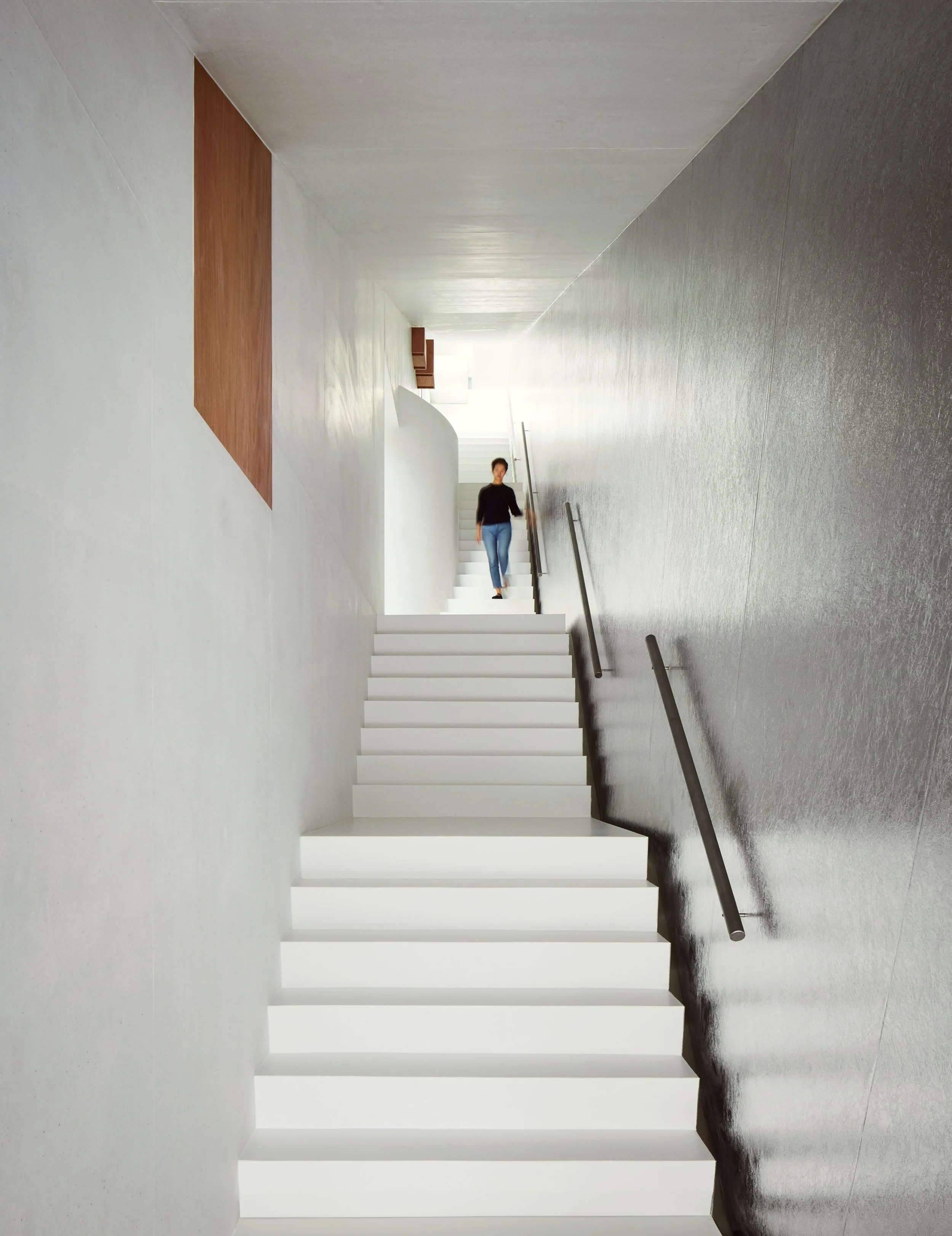Rem Koolhaas/OMA: Austrian House — Phillip Denny