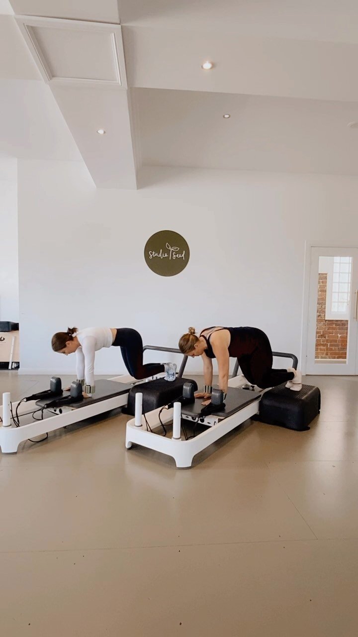 Contact 1 — Studio Seed