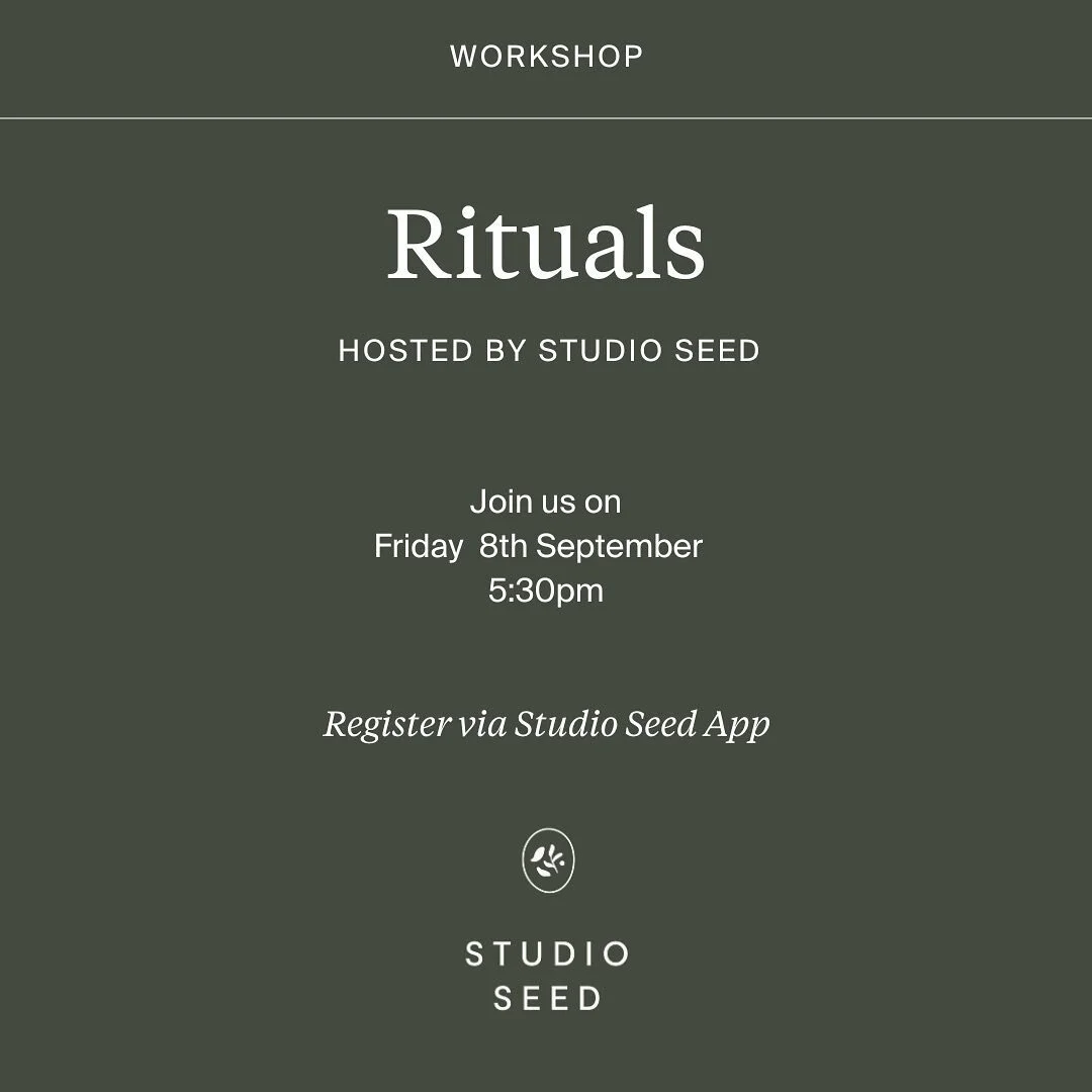 Contact 1 — Studio Seed