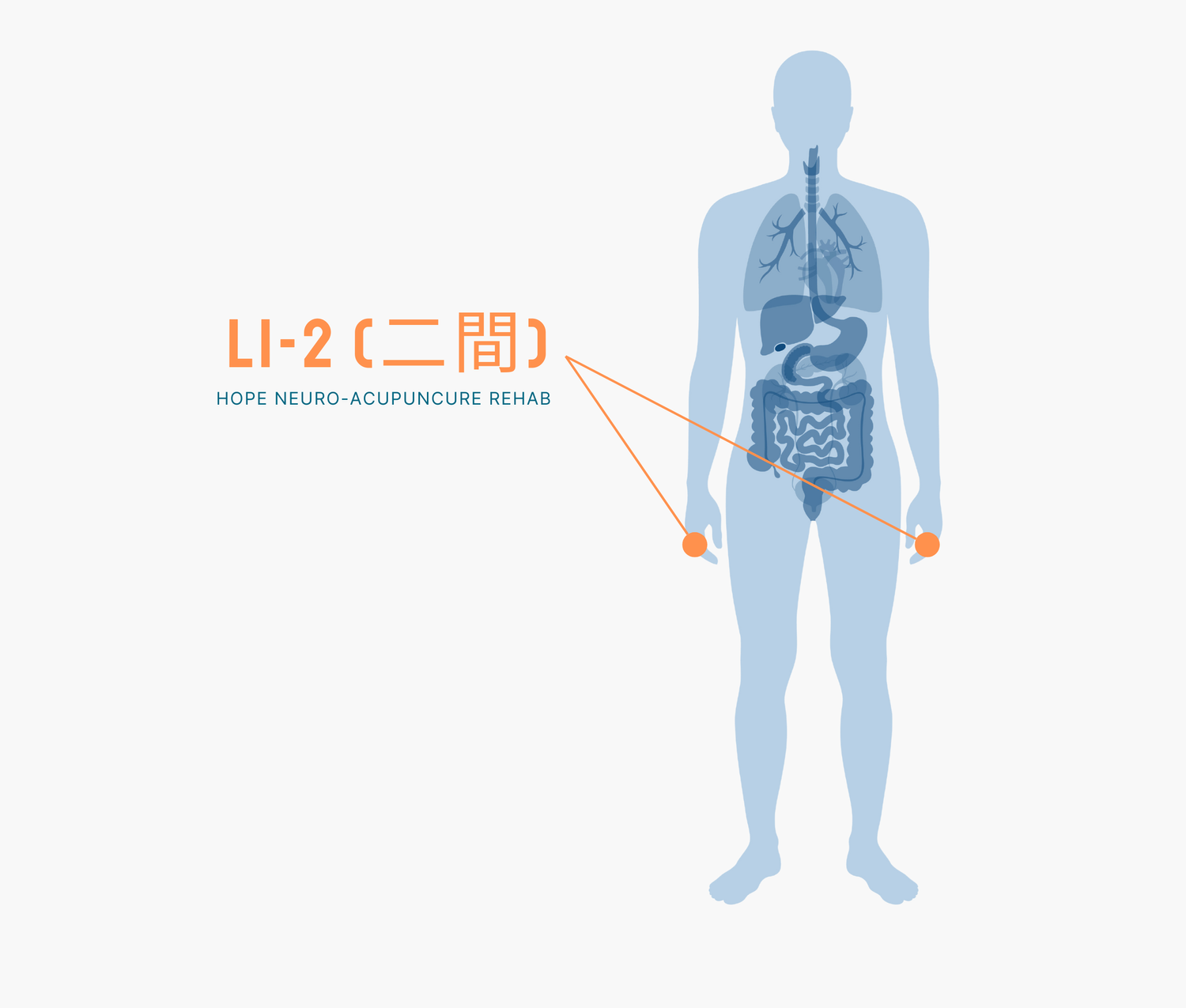 Meridian Points Chart for Acupuncture – Blog Visuals are Free to Use ...